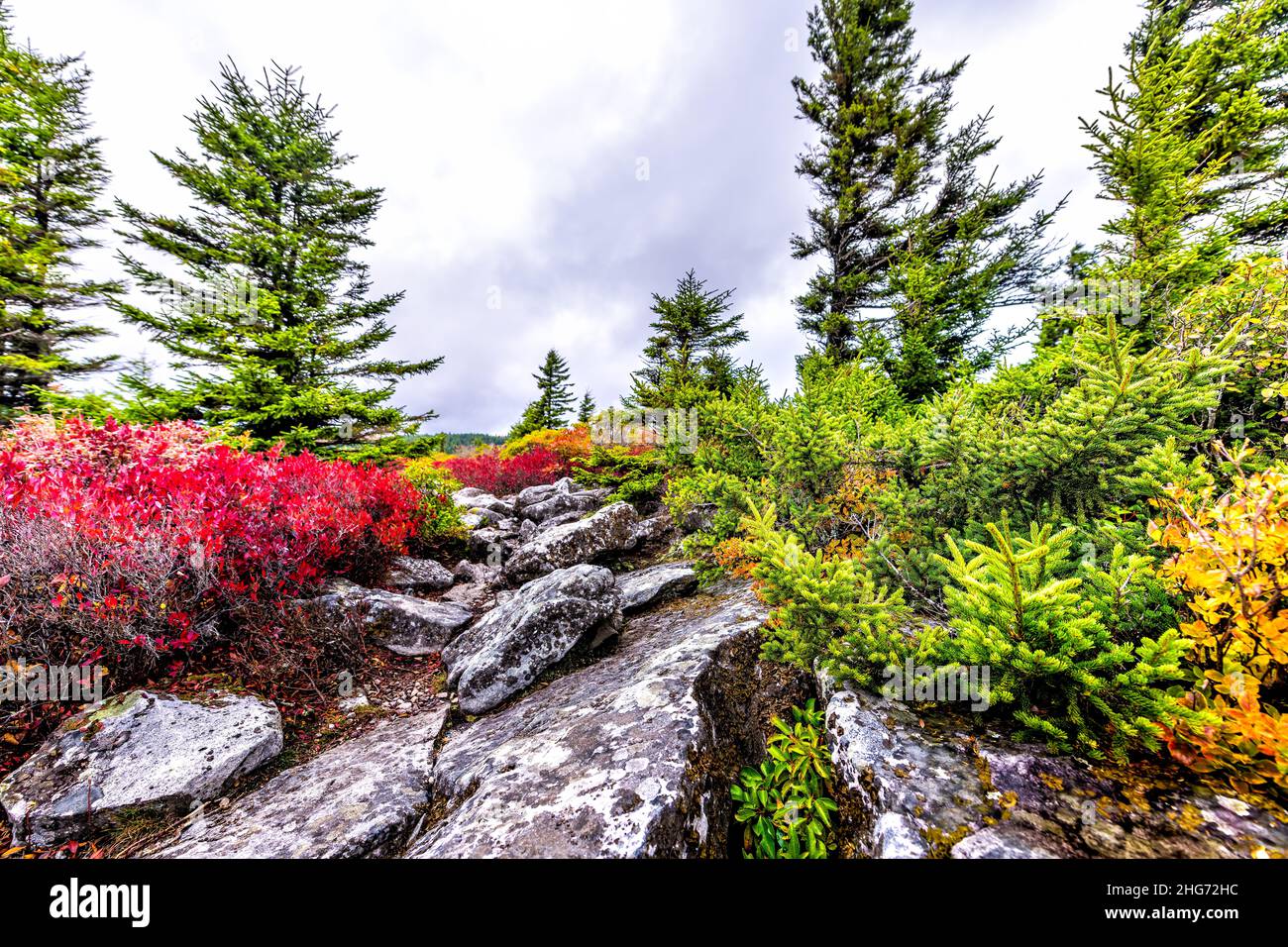 West virginia fall foliage hi-res stock photography and images - Alamy