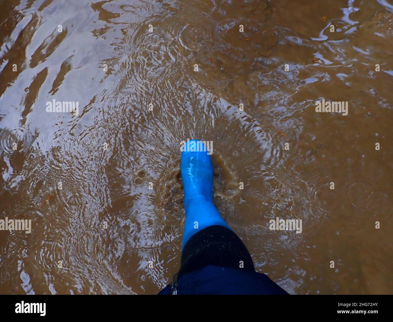 Spring puddle.puddle walk. feets in blue rubber boots in spring muddy ...
