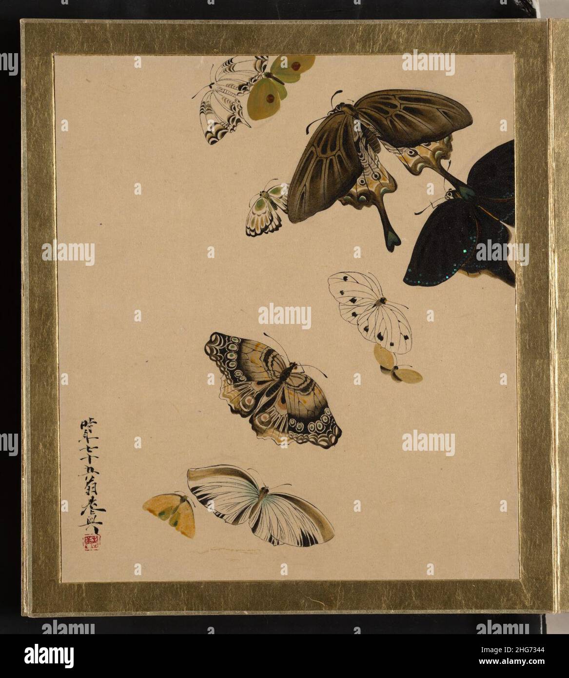 Shibata Zeshin - Lacquer Paintings of Various Subjects, Butterflies ...