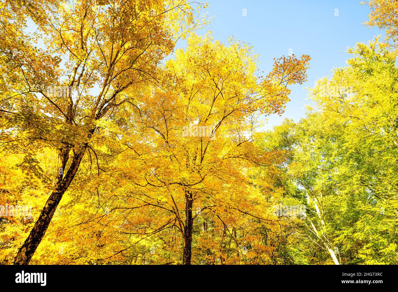 Pocahontas county west virginia hi-res stock photography and images - Alamy