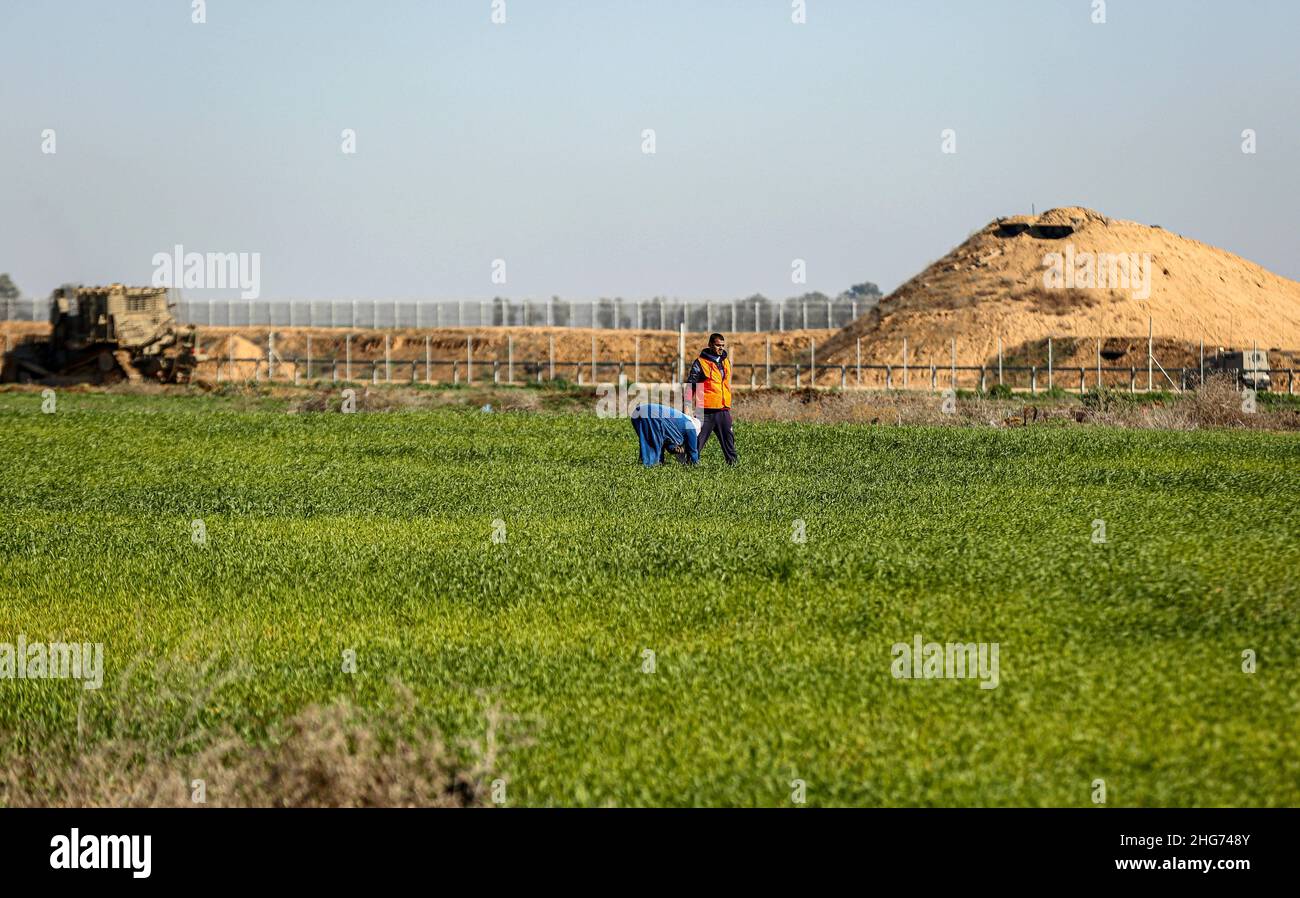 Farmers work on a farm near the fence separating Gaza and Israel, while ...