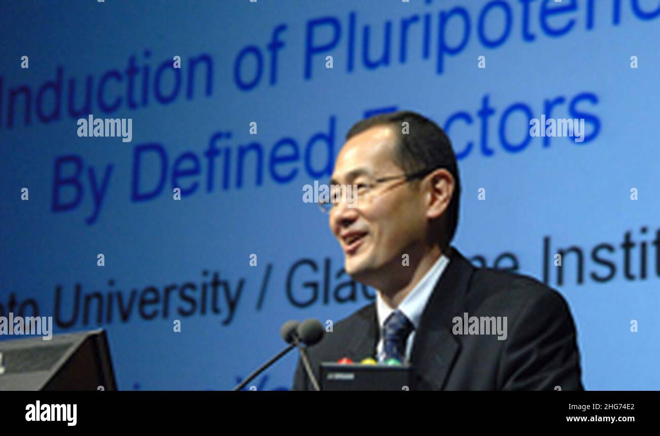 Shinya yamanaka hi-res stock photography and images - Alamy