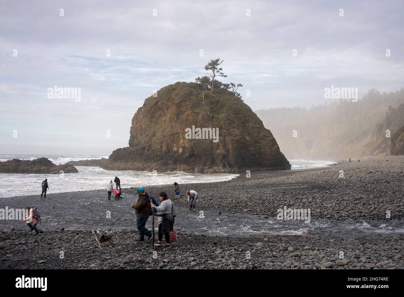 Visitors to the north Oregon Coast went rockhounding on the Short Beach ...