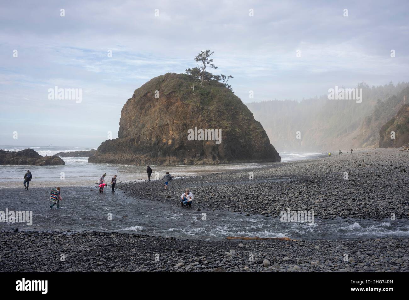 Visitors to the north Oregon Coast went rockhounding on the Short Beach ...