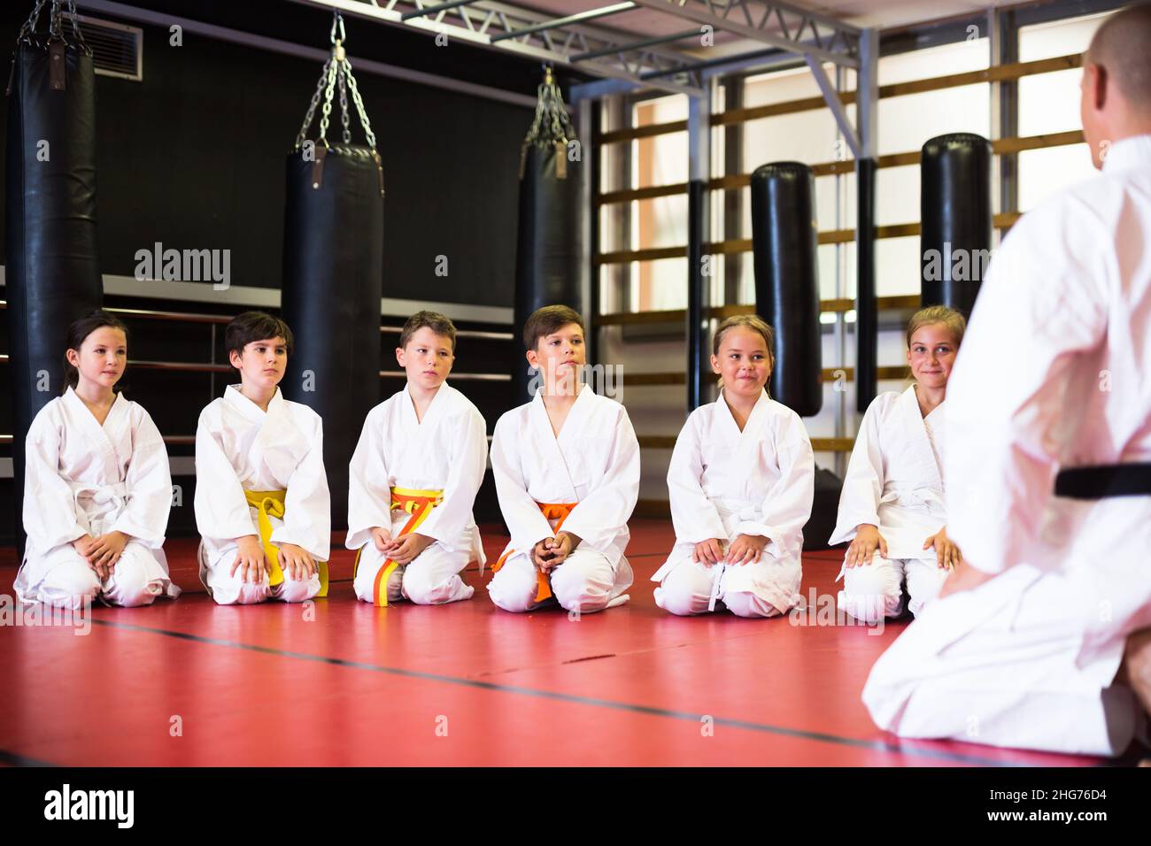 Children with their male instructor posing in karate class Stock Photo ...