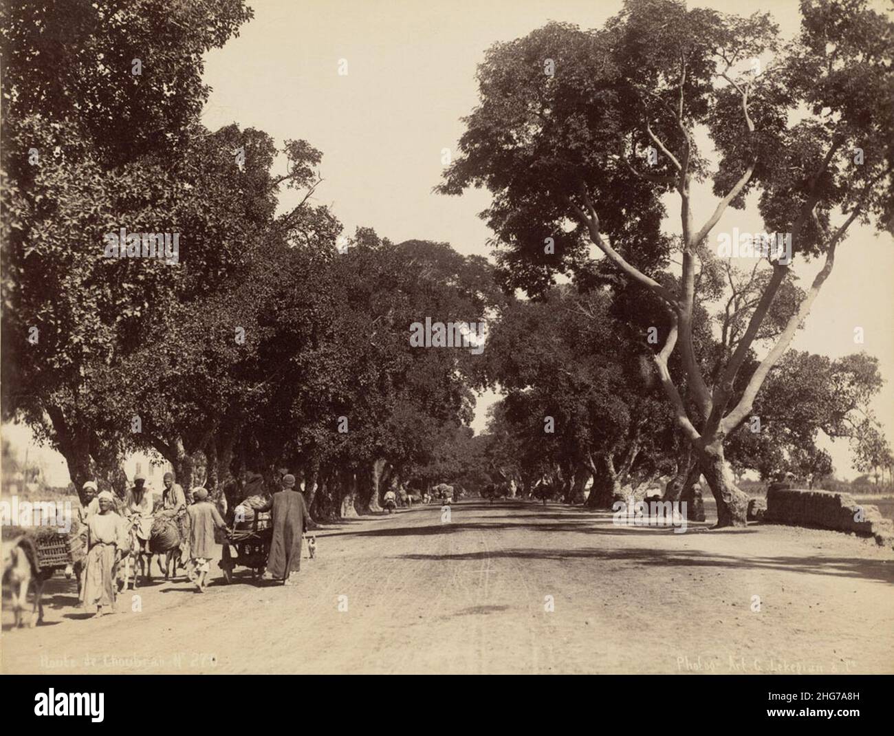 Shubra hi-res stock photography and images - Alamy