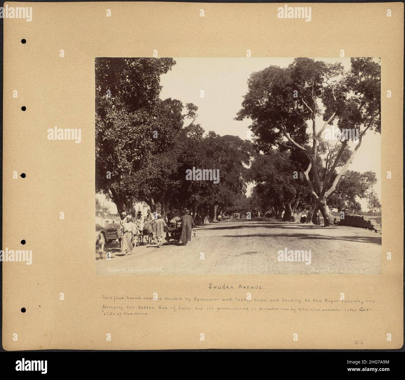 Shubra hi-res stock photography and images - Alamy