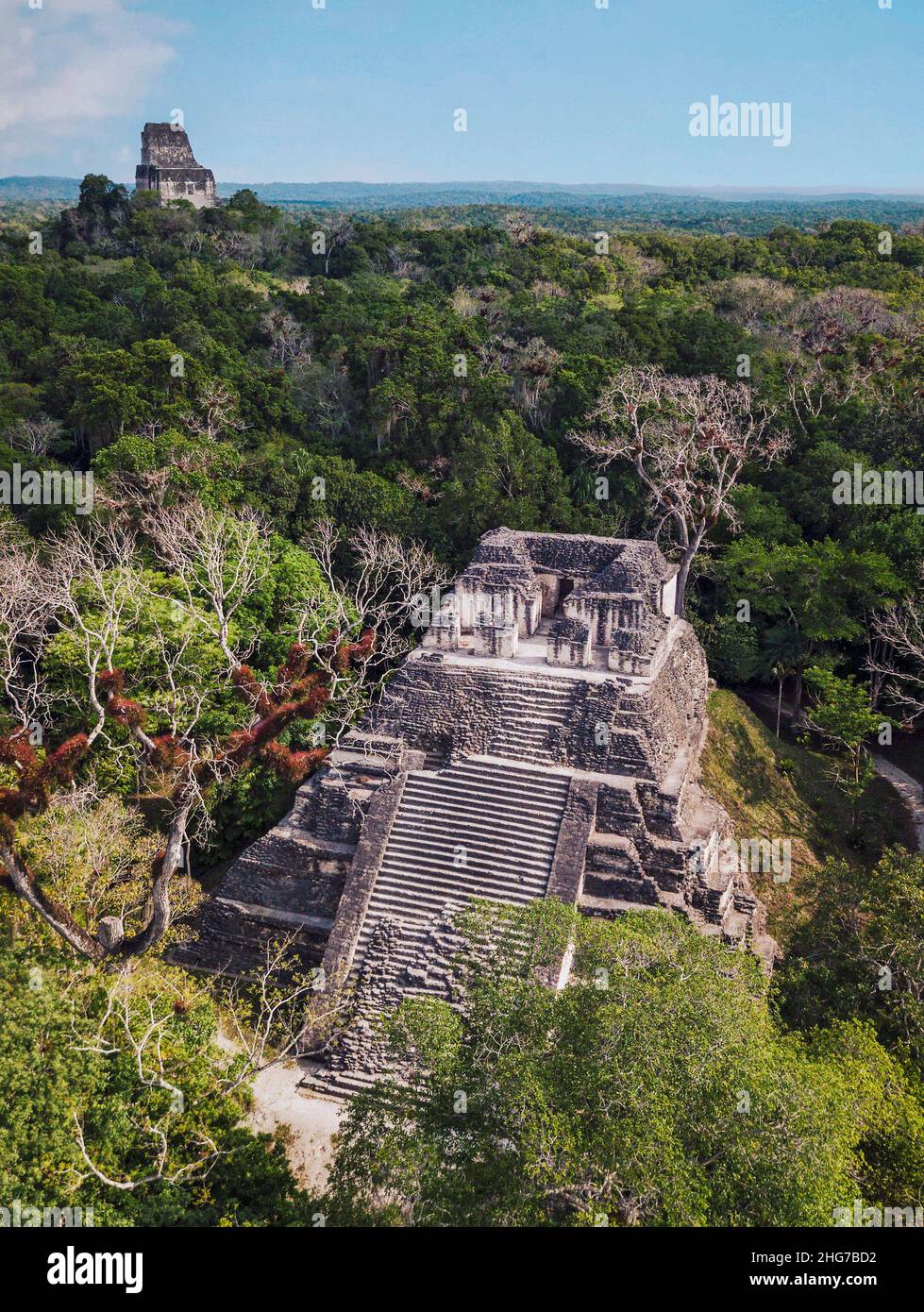Pyramids mayan ruins tikal national hi-res stock photography and images ...