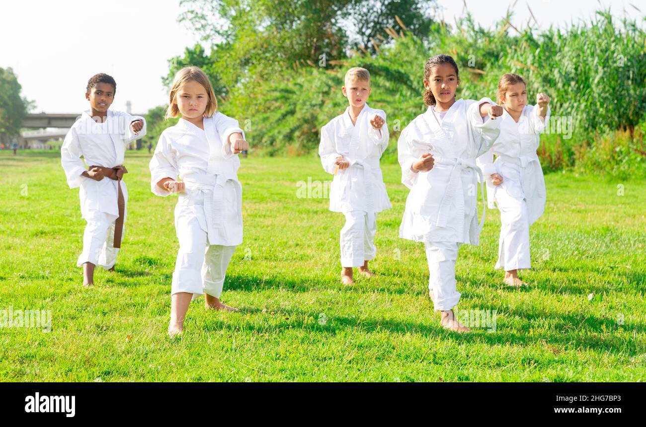 Positive children practicing karate in park Stock Photo - Alamy