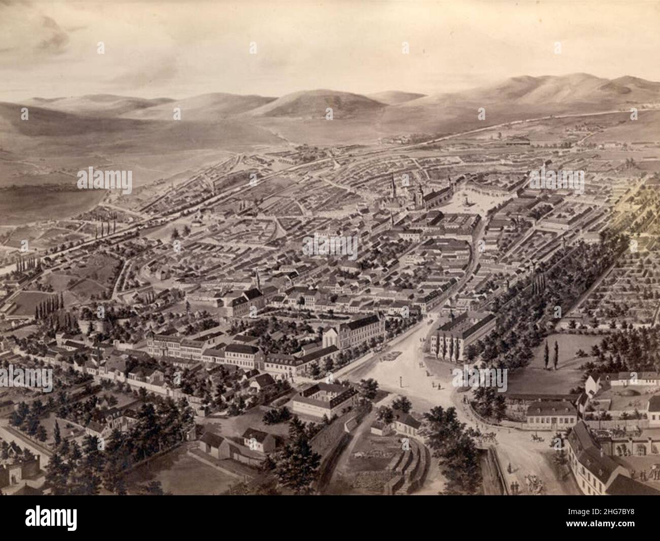 Vedera hi-res stock photography and images - Alamy