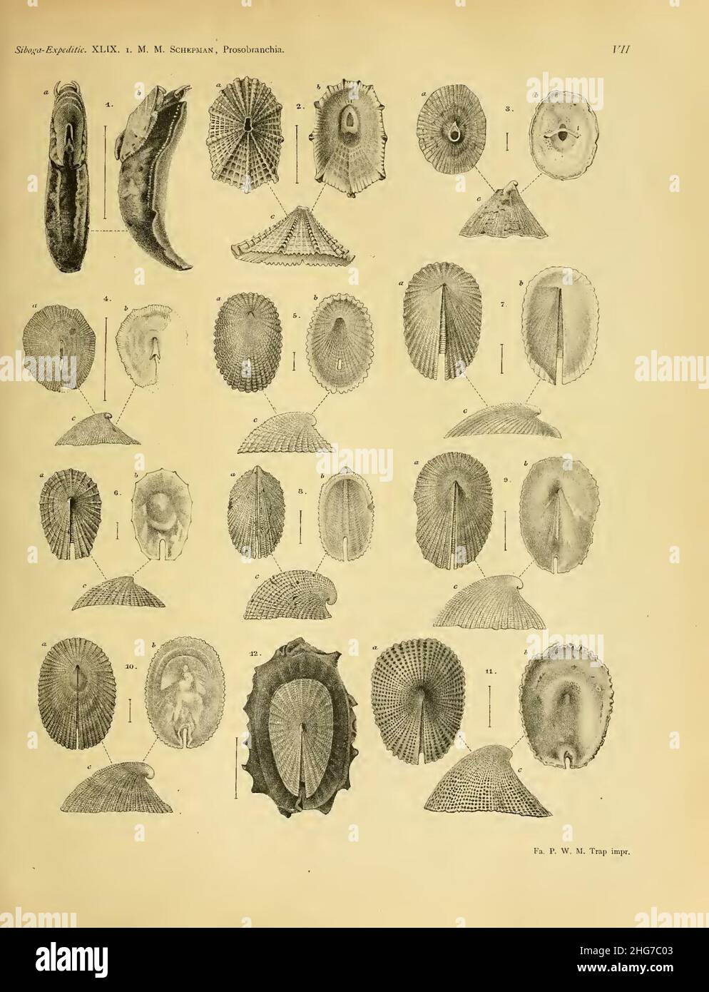 Schepman hi-res stock photography and images - Alamy