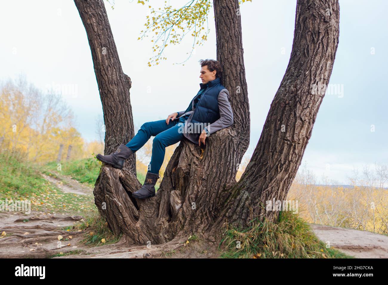 Tall handsome man climbing on the tree in yellow autumn forest Stock ...