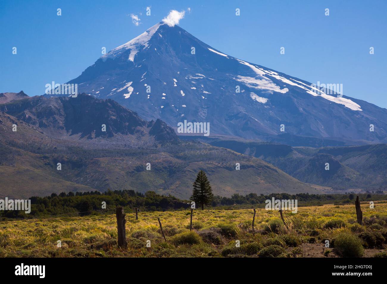 Lanin national park hi-res stock photography and images - Alamy