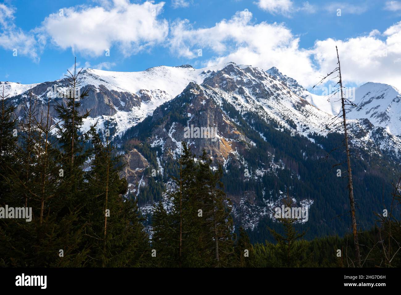 High Tatras mountains panorama with snow and forest Stock Photo - Alamy