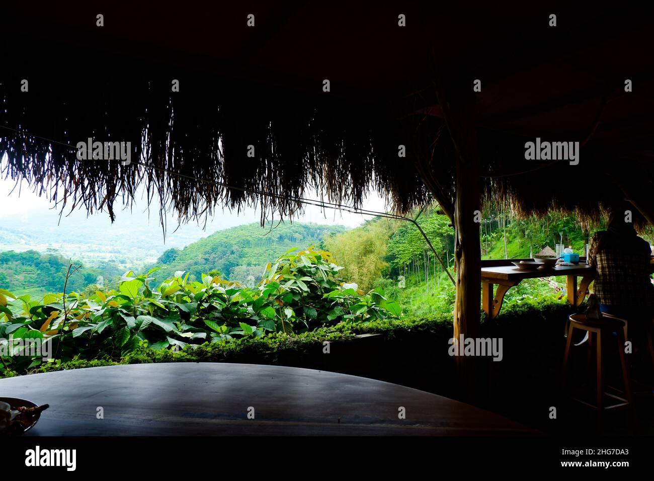view of mountains with beautiful green trees in one of the natural ...