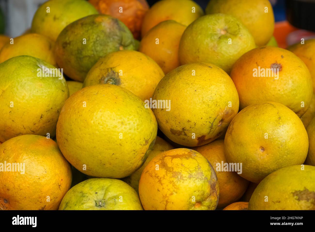 An orange is a type of citrus fruit that people often eat. Oranges are ...