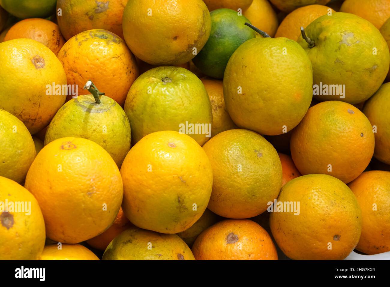 An orange is a type of citrus fruit that people often eat. Oranges are ...