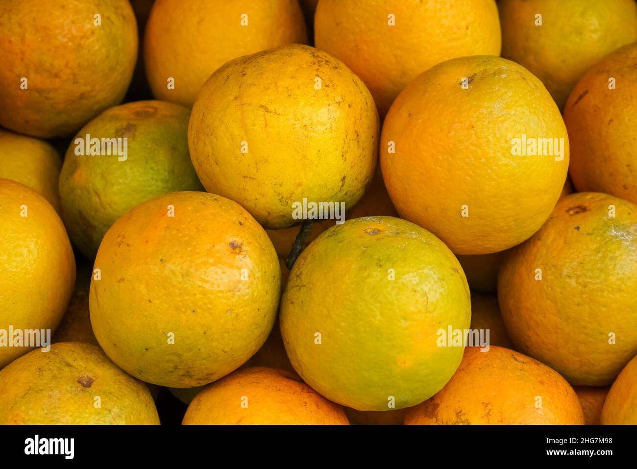 An orange is a type of citrus fruit that people often eat. Oranges are ...