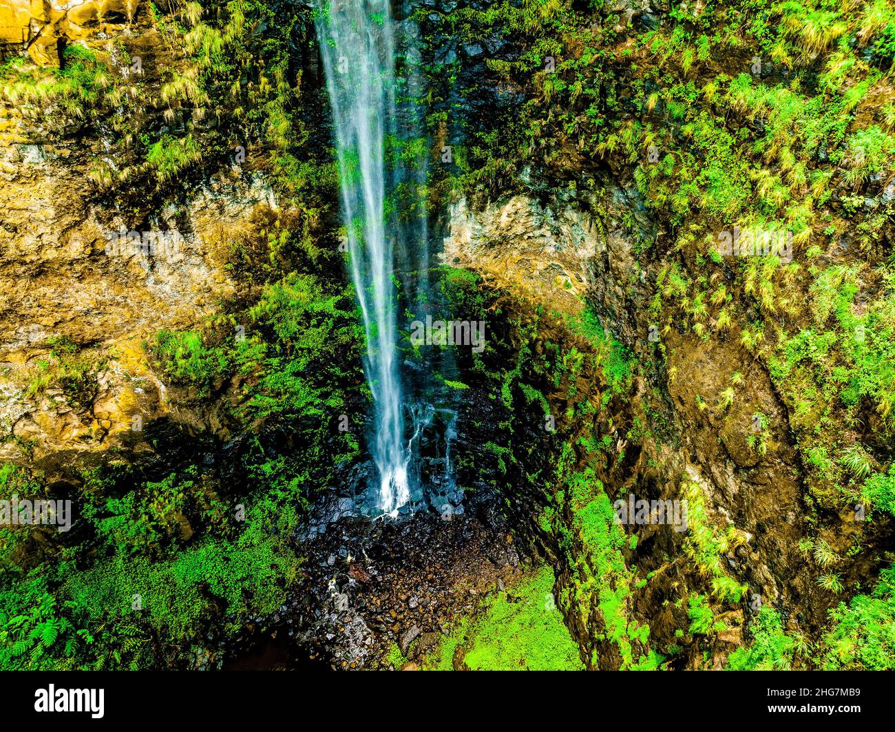 Vista over the Obi Obi Valley and lush rainforest canopy are highlights ...