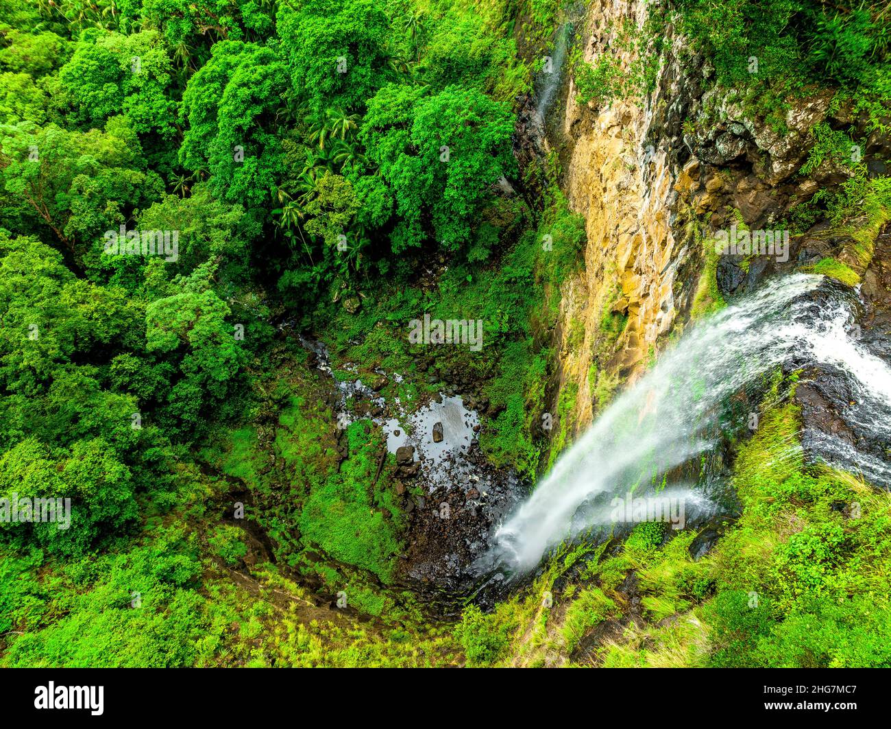 Vista over the Obi Obi Valley and lush rainforest canopy are highlights ...