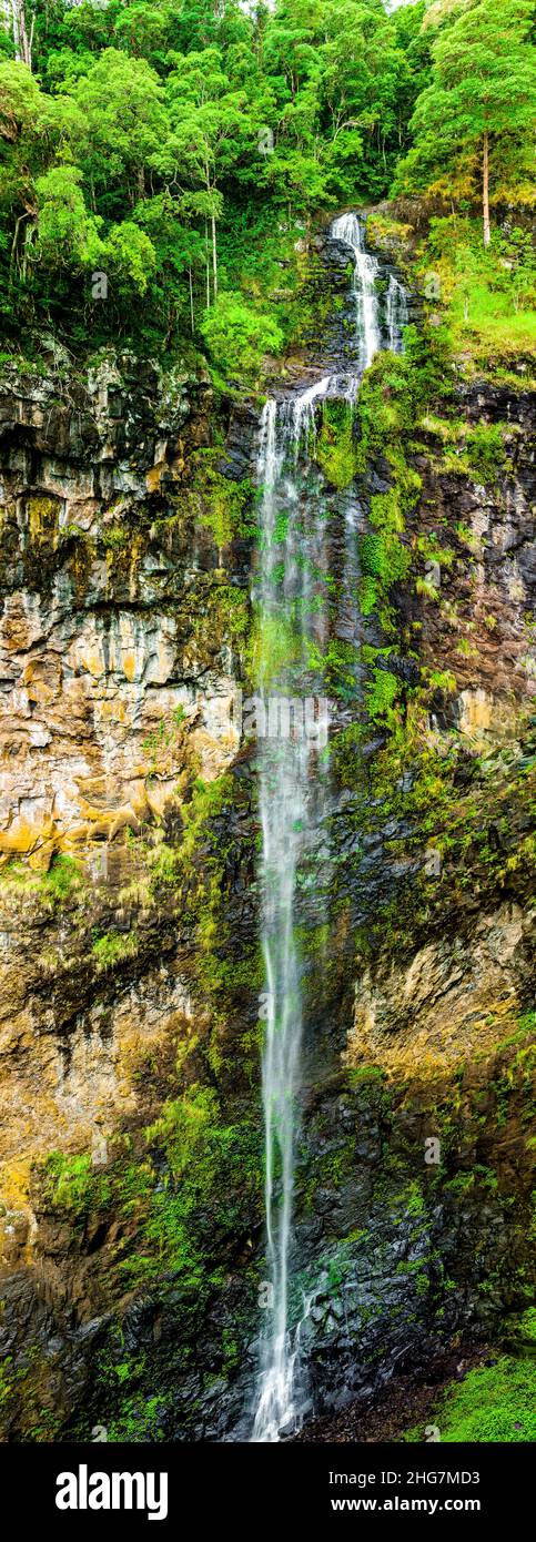 Mapleton national park queensland hi-res stock photography and images ...