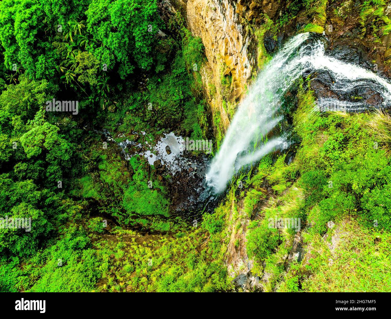 Vista over the Obi Obi Valley and lush rainforest canopy are highlights ...