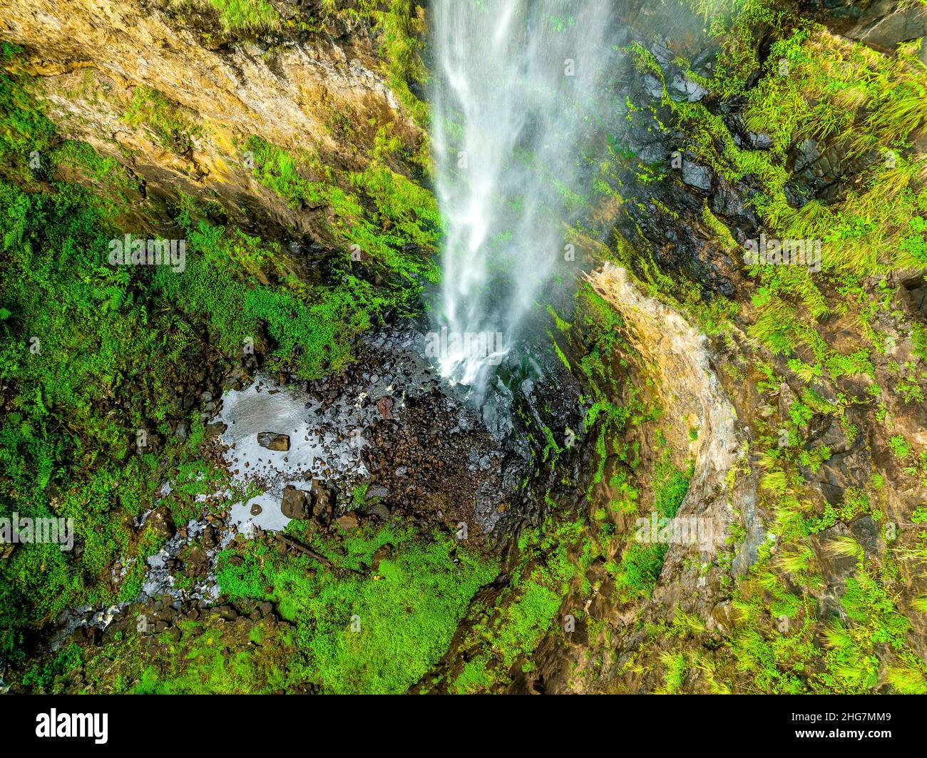 Vista over the Obi Obi Valley and lush rainforest canopy are highlights ...
