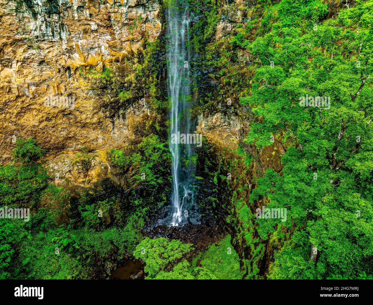Vista over the Obi Obi Valley and lush rainforest canopy are highlights ...