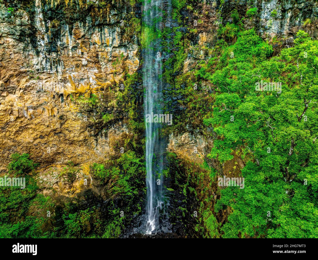 Vista over the Obi Obi Valley and lush rainforest canopy are highlights ...