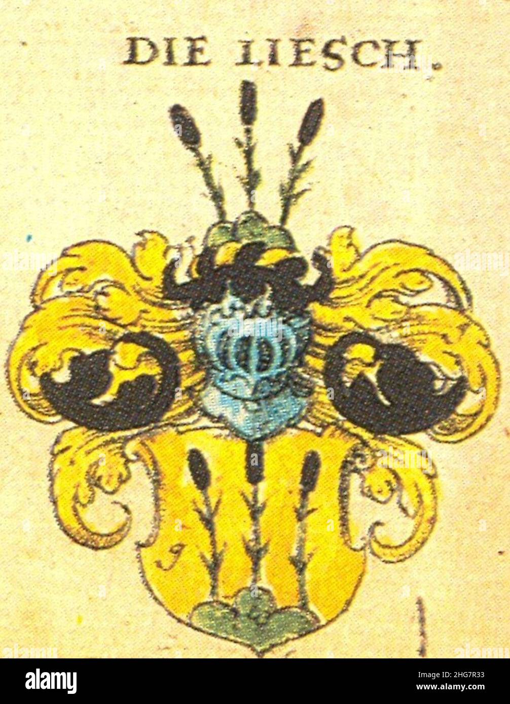 Liesch hi-res stock photography and images - Alamy