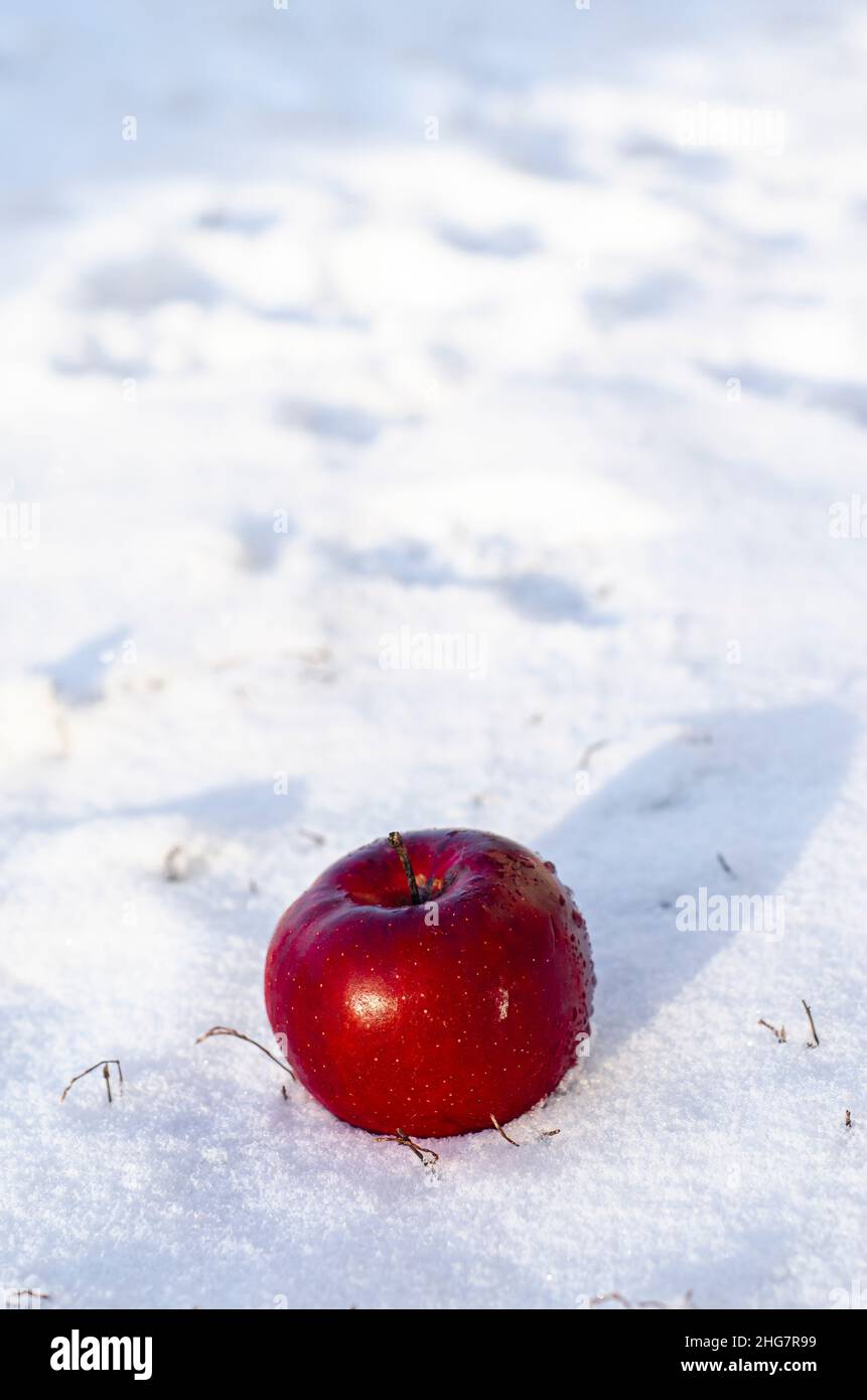 Snow Apple Once
