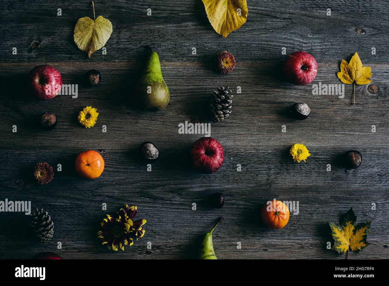 Fall Autumn Fruit Grid with Pears Apples Oranges Leaves and Flowers ...