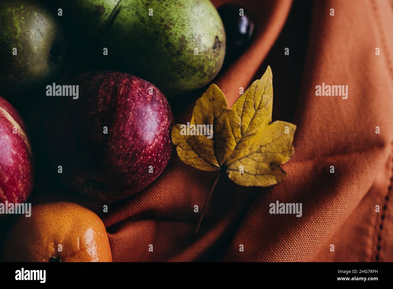Autumn Fall Fruit and Leaves Wrapped in Cloth Stock Photo - Alamy