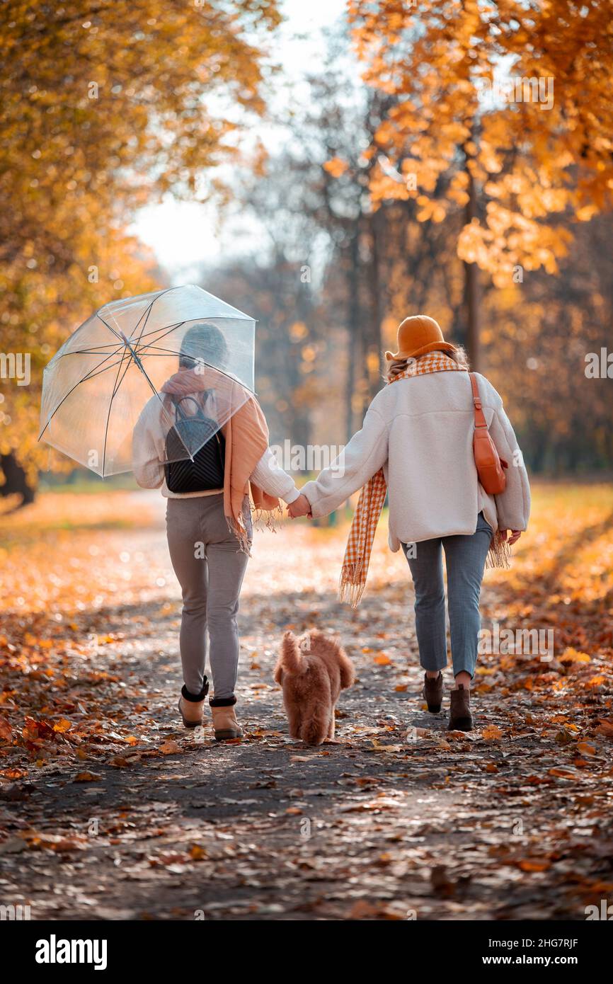 autumn walk with friend and dog Stock Photo - Alamy