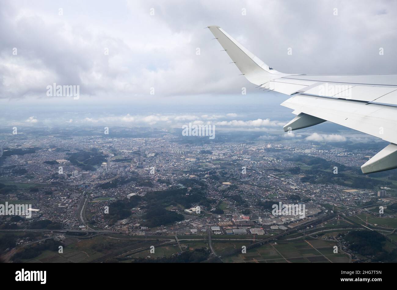 Birds of russia hi-res stock photography and images - Alamy