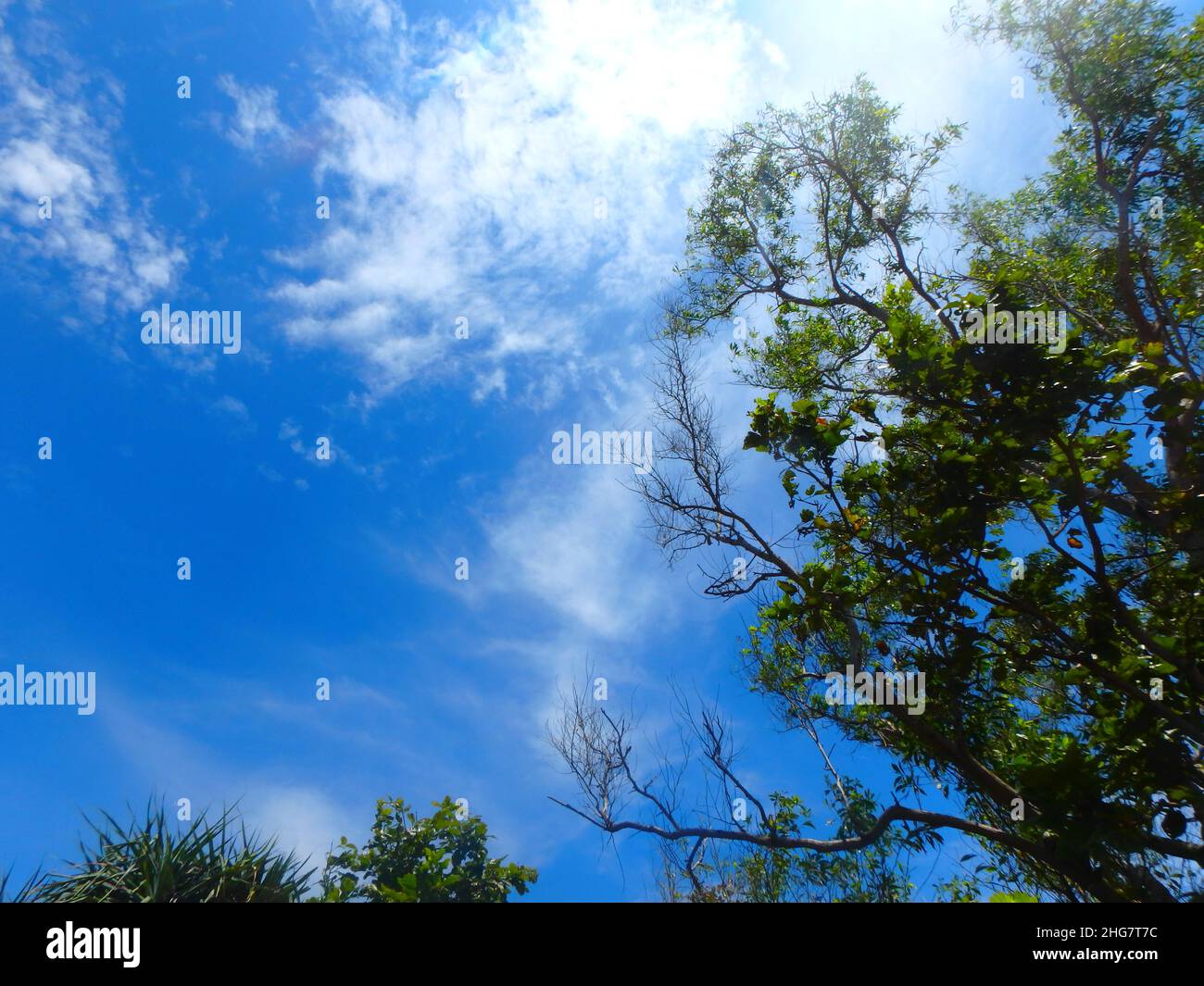 Lightnign hi-res stock photography and images - Alamy