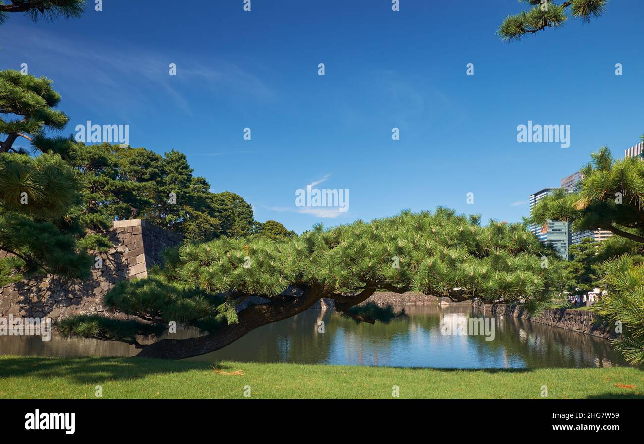 Japanese imperial crown style hi-res stock photography and images - Alamy