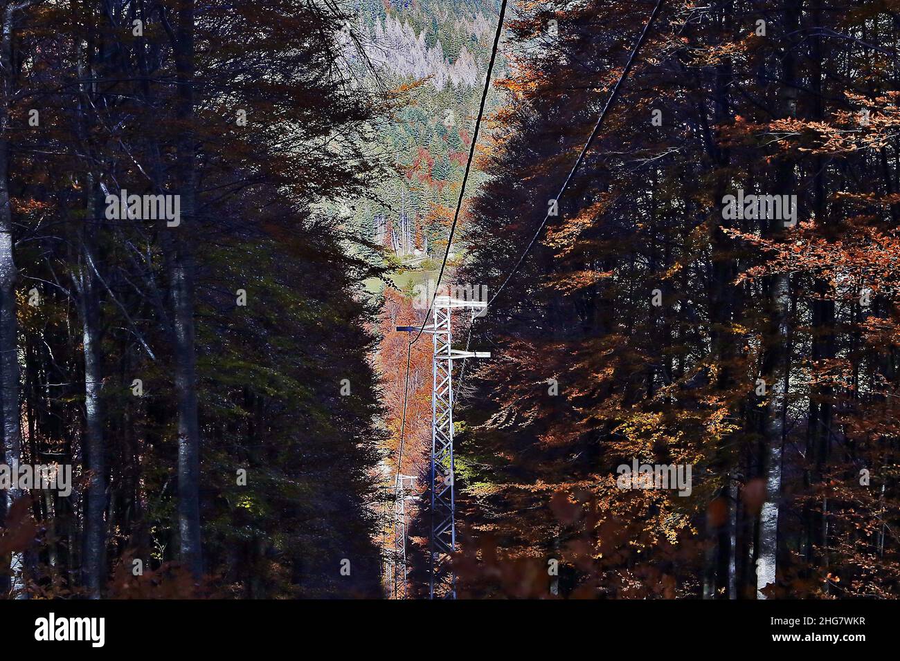 Funicular in the wood during autumn Stock Photo - Alamy