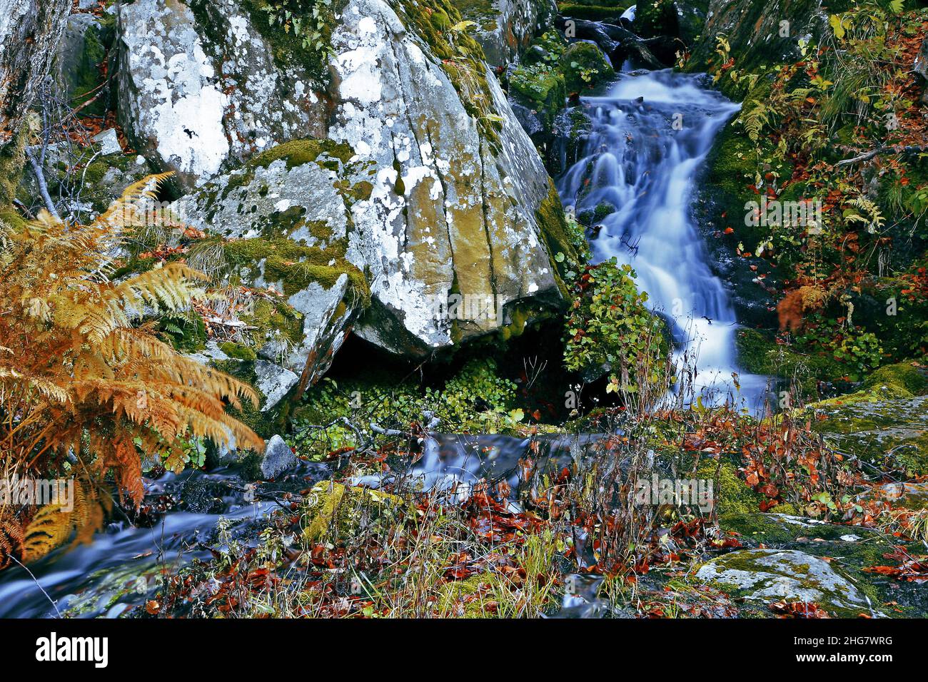 River mountain autumn foliage italy hi-res stock photography and images ...