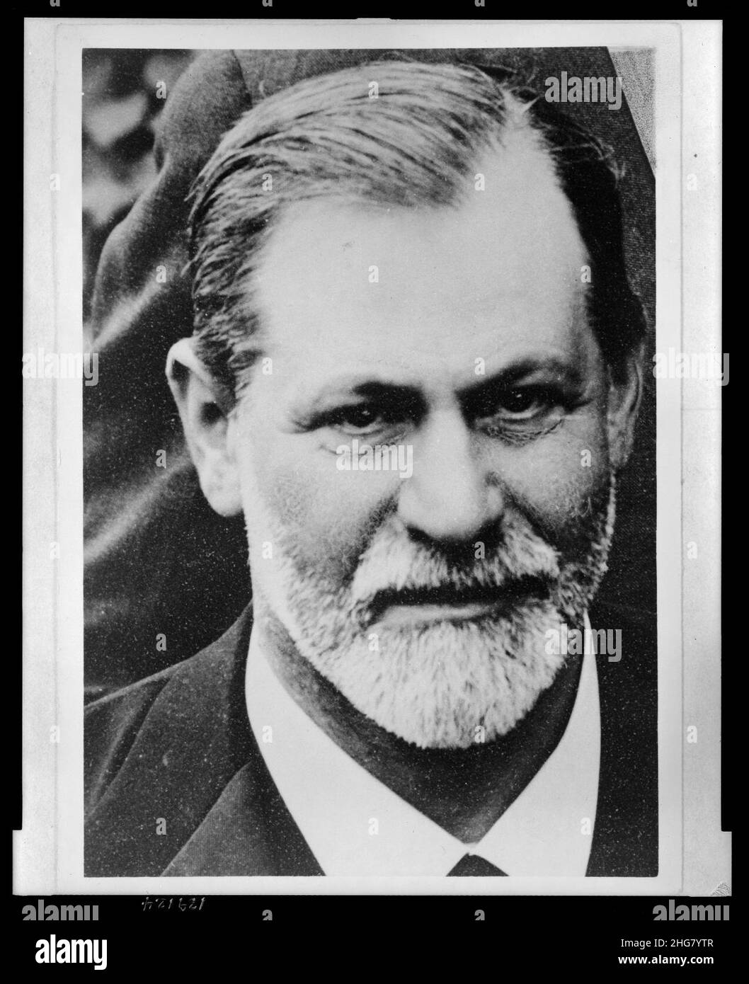 Sigmund Freud, bust portrait, facing front Stock Photo - Alamy