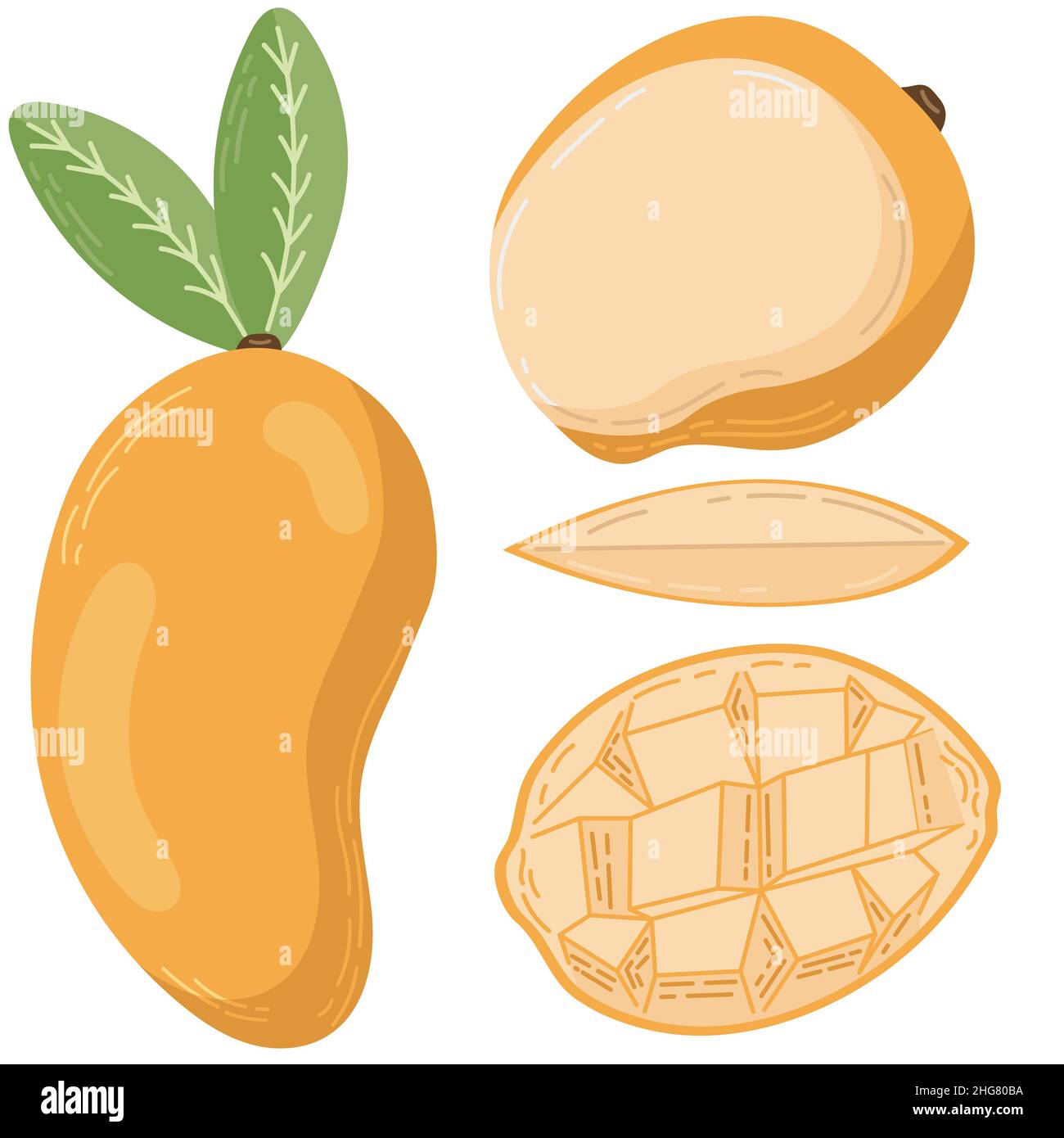 A set of mango fruit drawn in a flat style, slices and halves of fruit ...