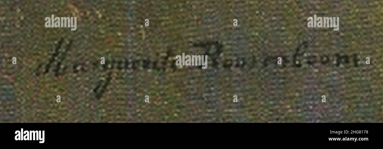 Roosenboom marguerite hi-res stock photography and images - Alamy