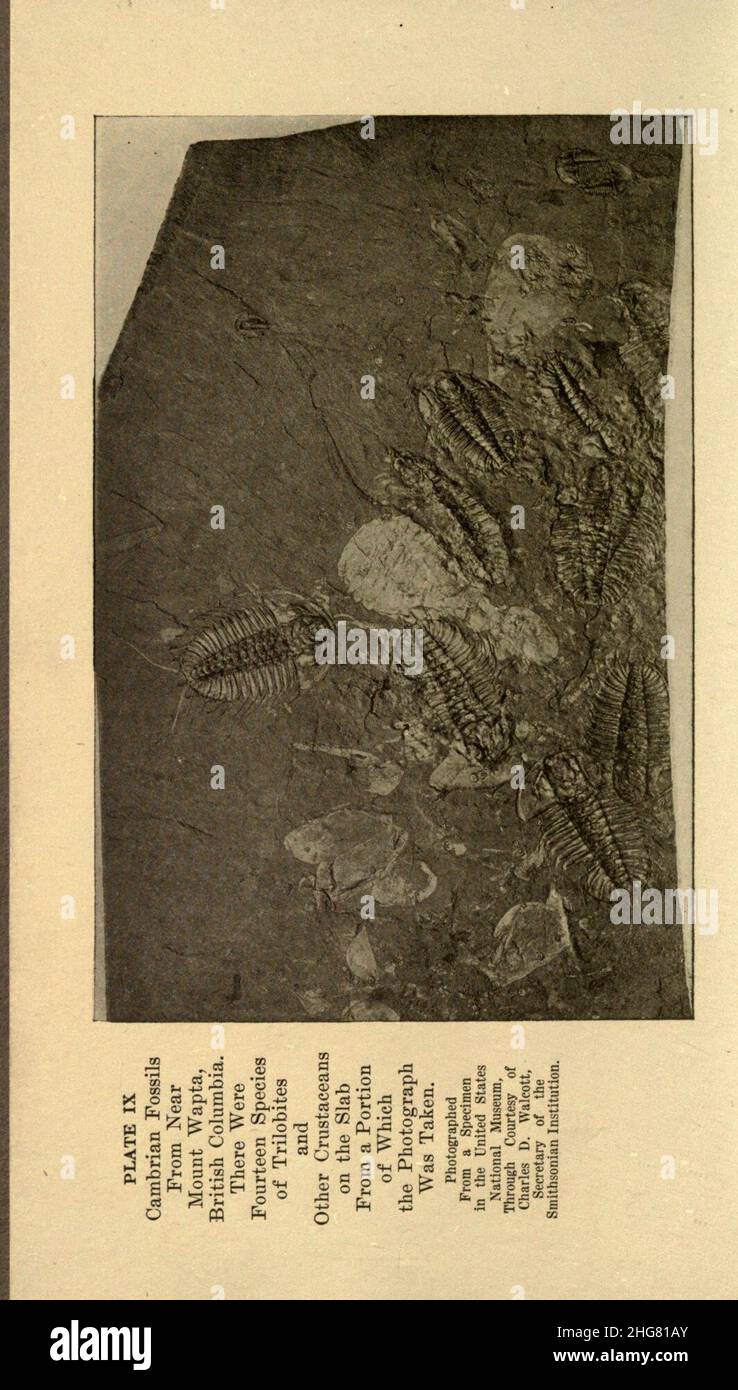 Significant features in history hi-res stock photography and images - Alamy