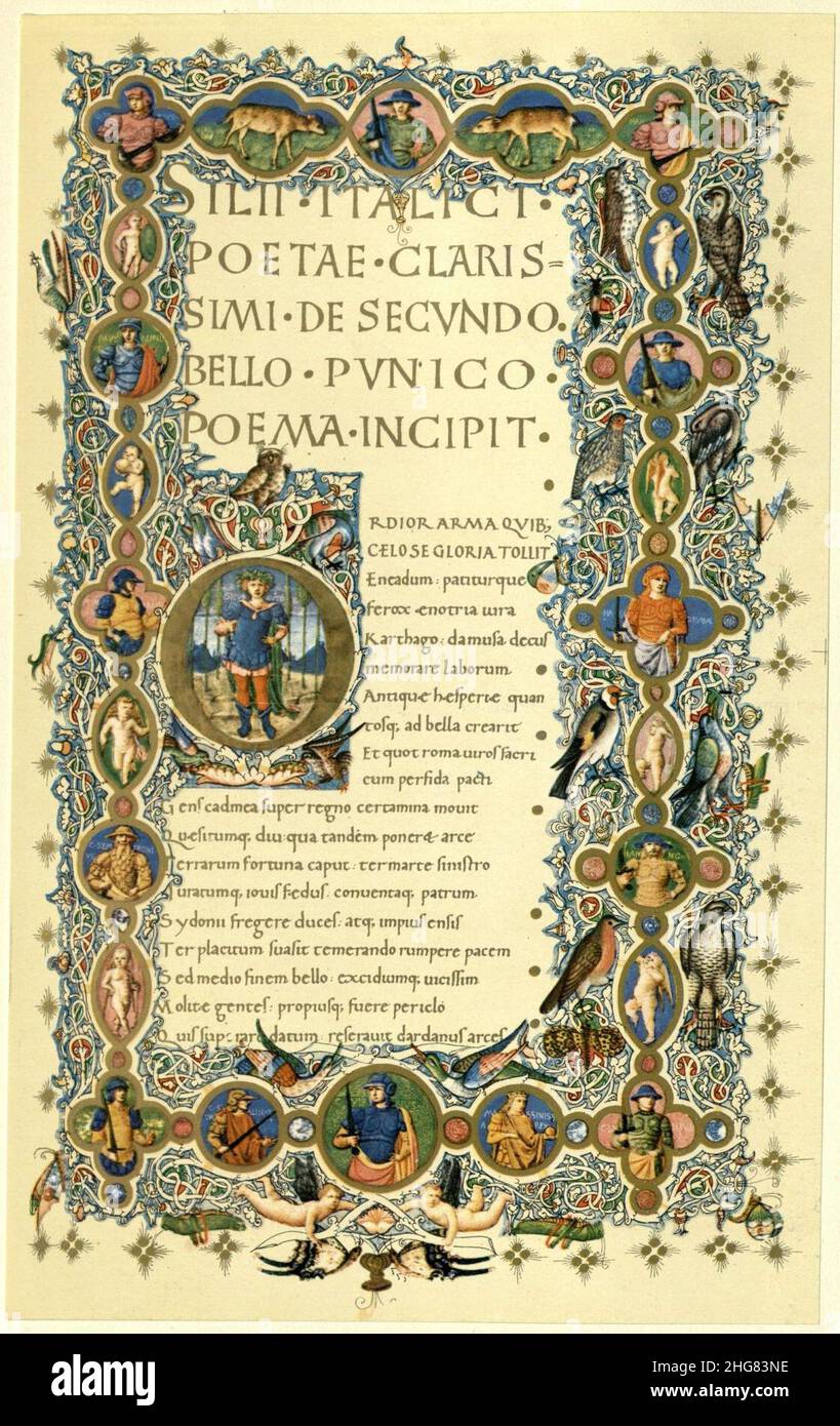 Silius hi-res stock photography and images - Alamy