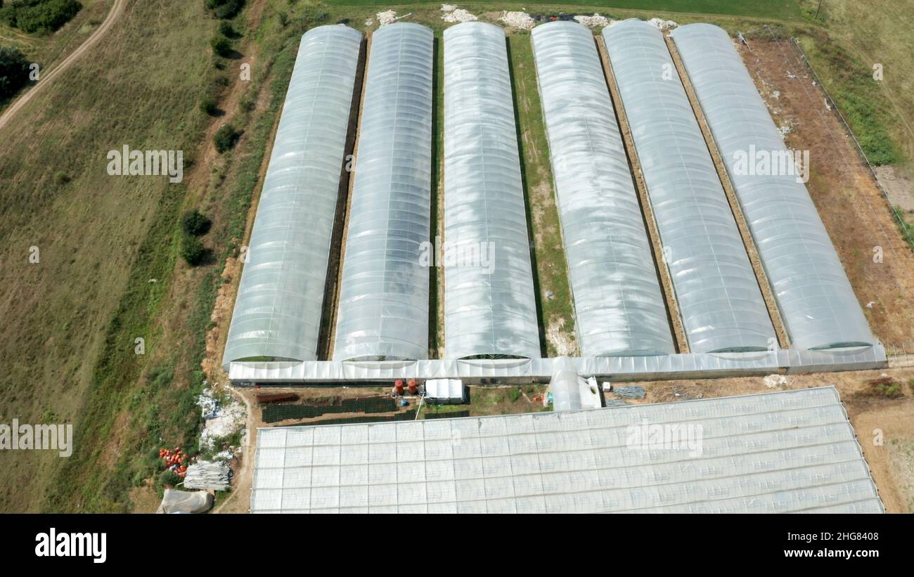 Aerial view of agricultural greenhouse fulled with organic fresh green ...