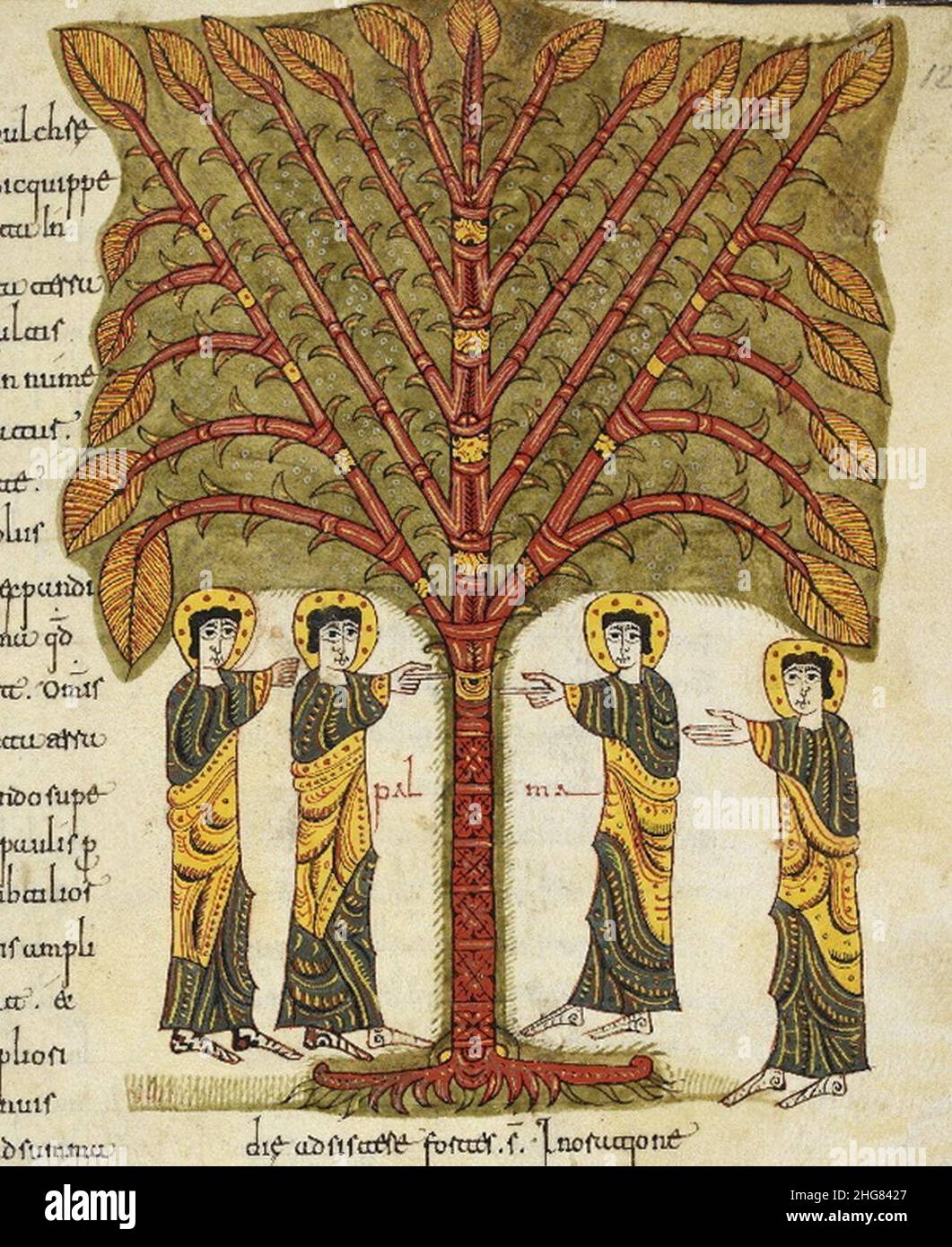 Silos Apocalypse - BL Add MS 11695 f. 124 - Palm tree (crop Stock Photo ...