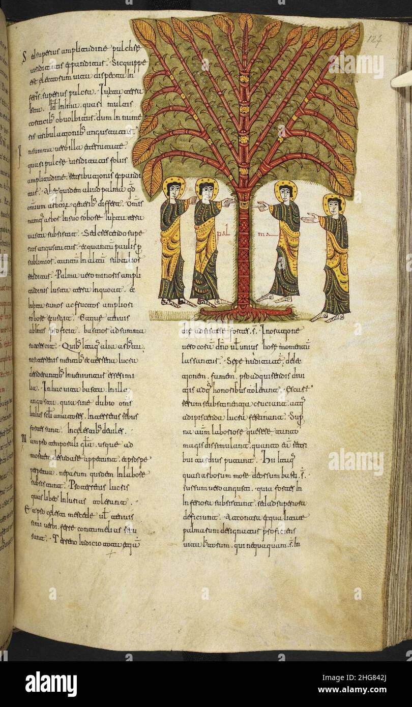 Silos Apocalypse - BL Add MS 11695 f. 124 - Palm tree Stock Photo - Alamy