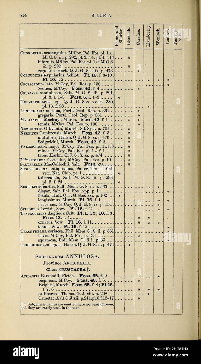 Siluria hi-res stock photography and images - Alamy