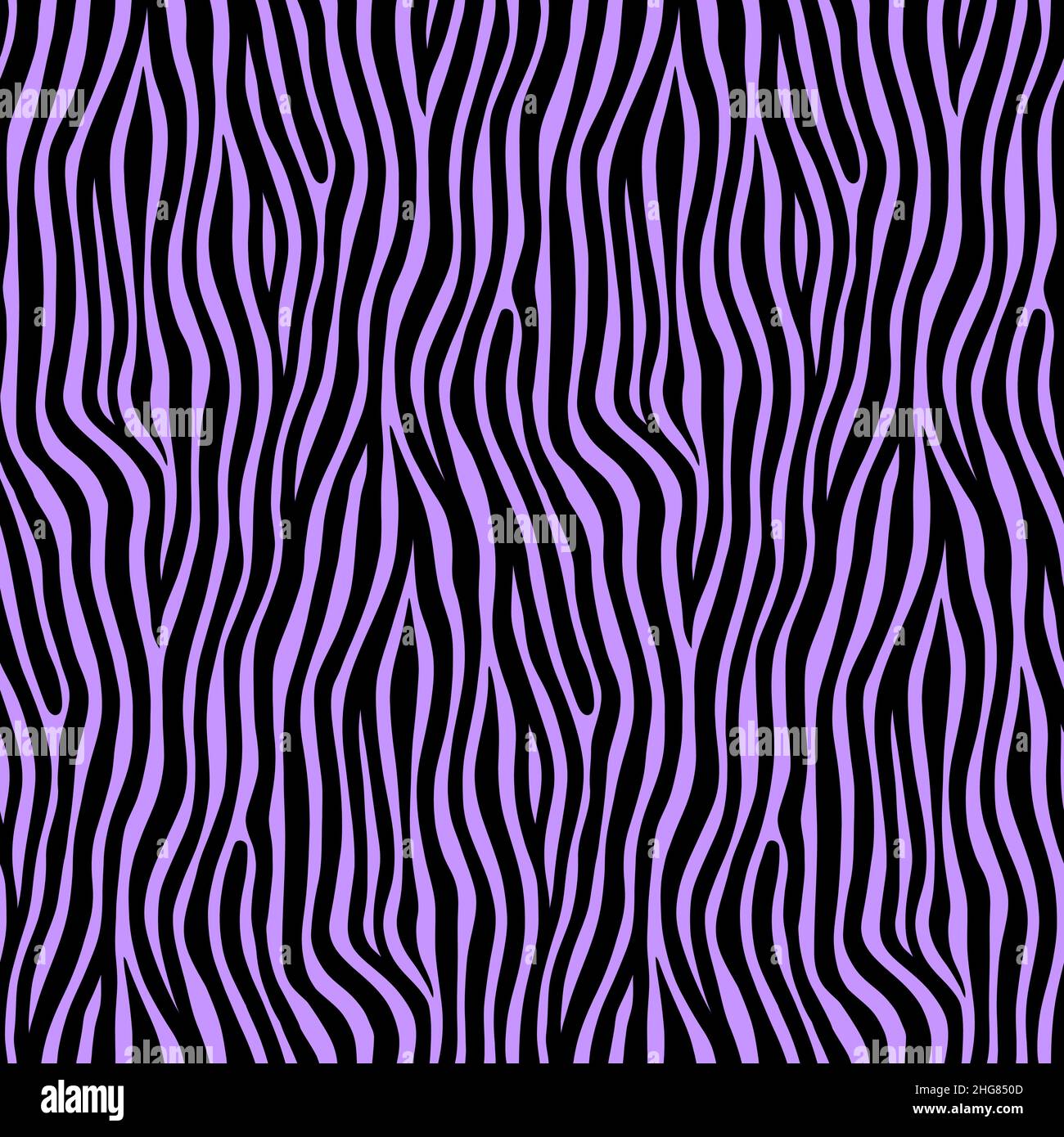 Purple Zebra Stripes