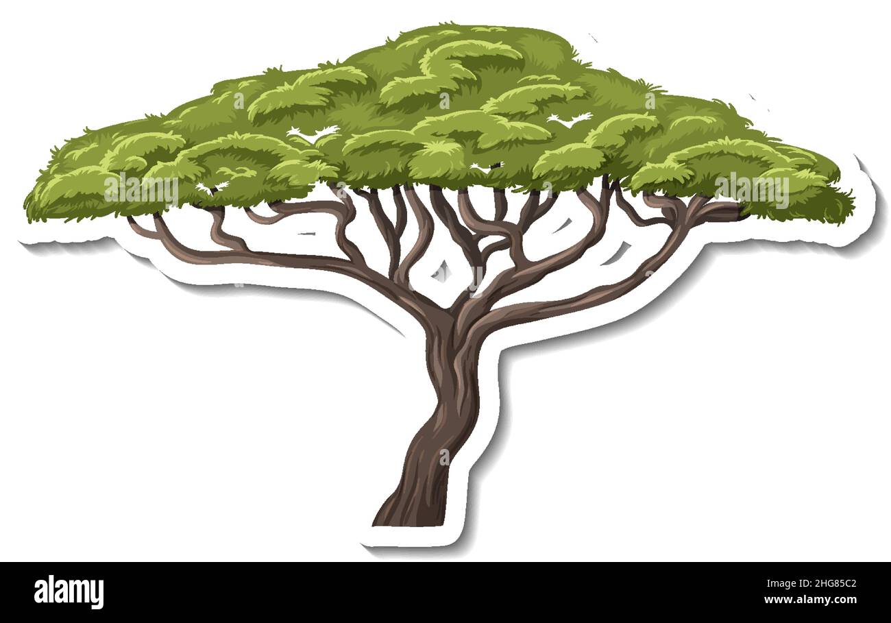 Isolated monkey pod tree in cartoon style illustration Stock Vector ...